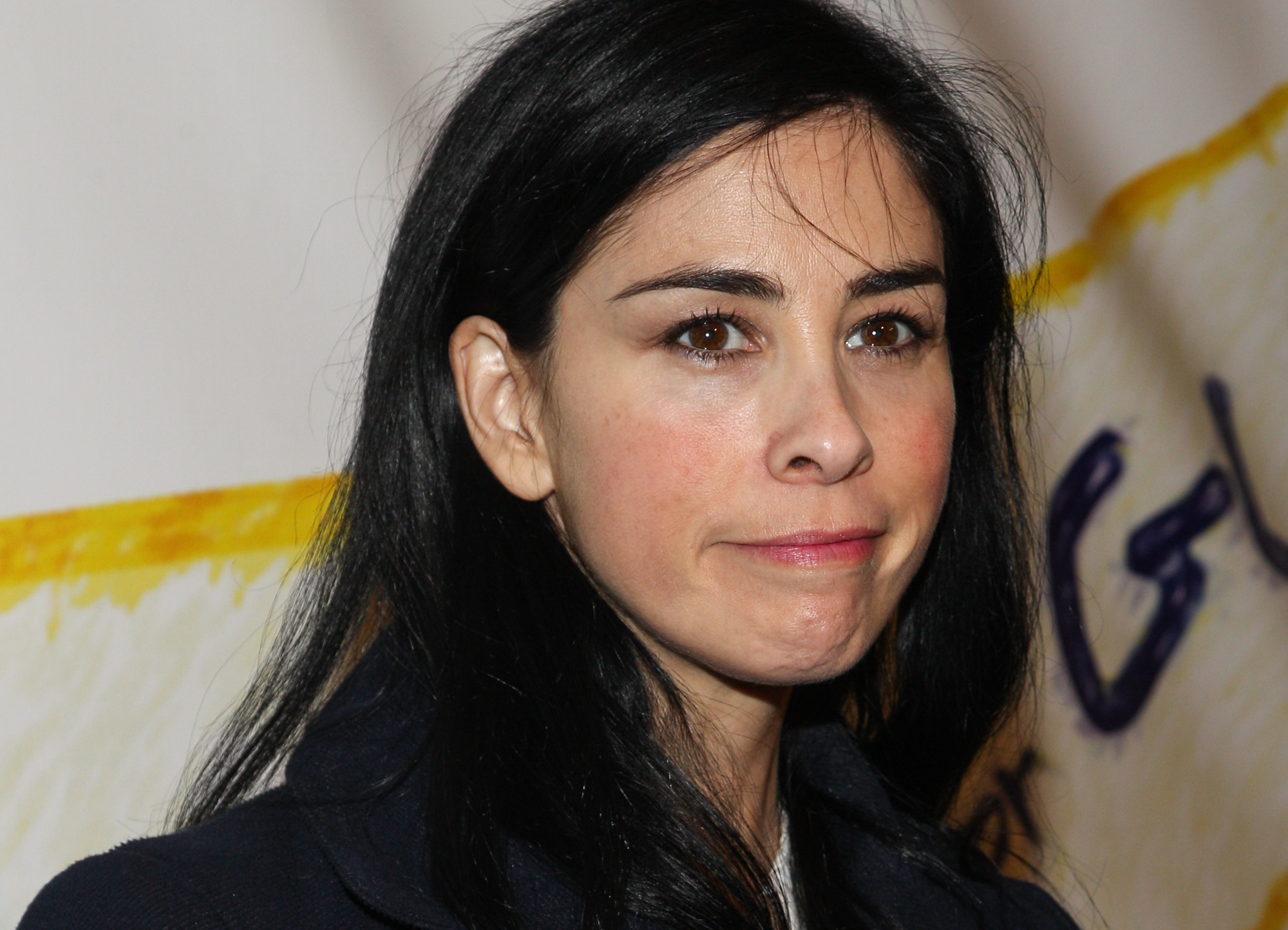 In Defense Of Sarah Silverman - TPM – Talking Points Memo