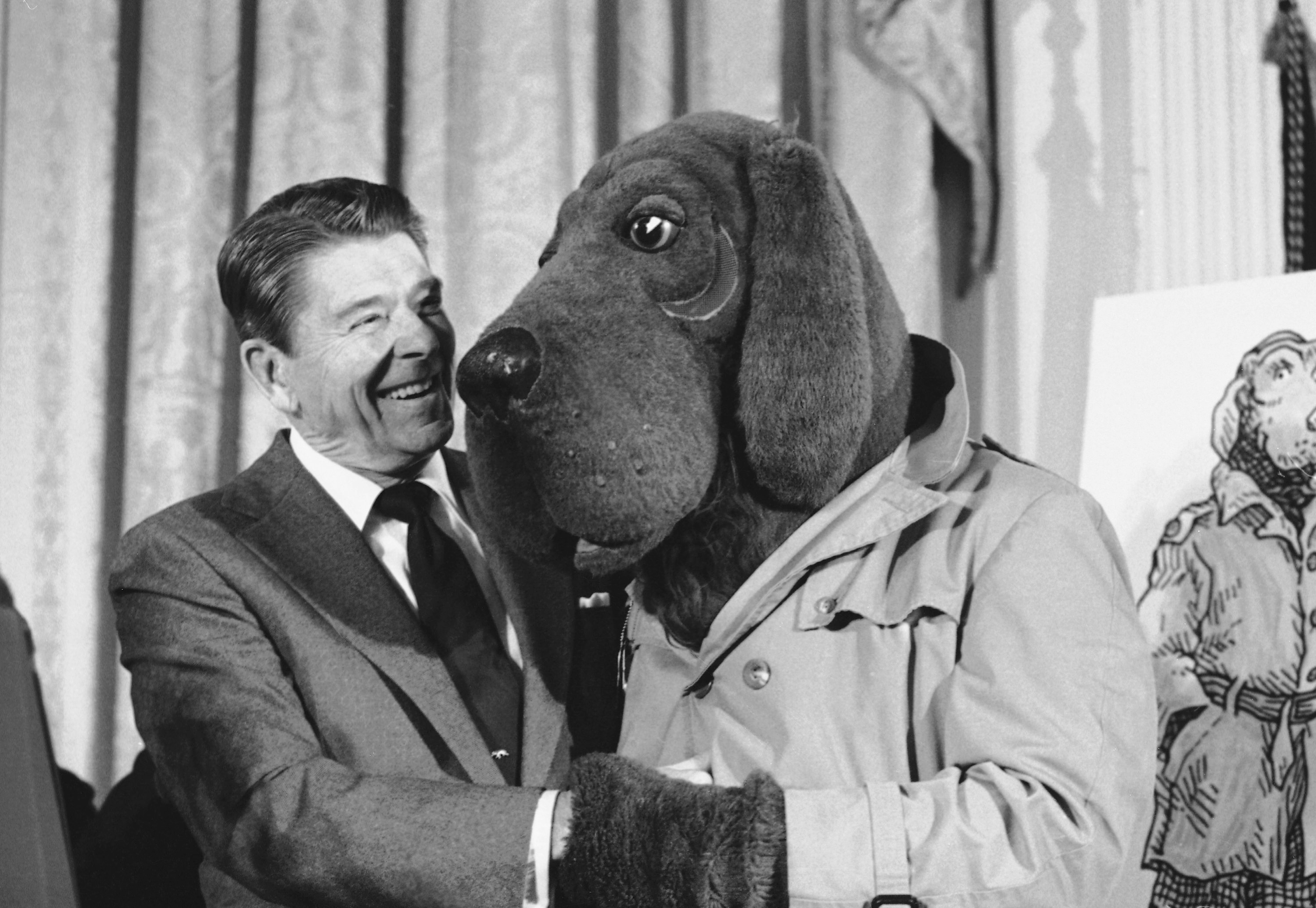 Ex-McGruff The Crime Dog Actor Sentenced To Prison For Guns, Pot Farm ...