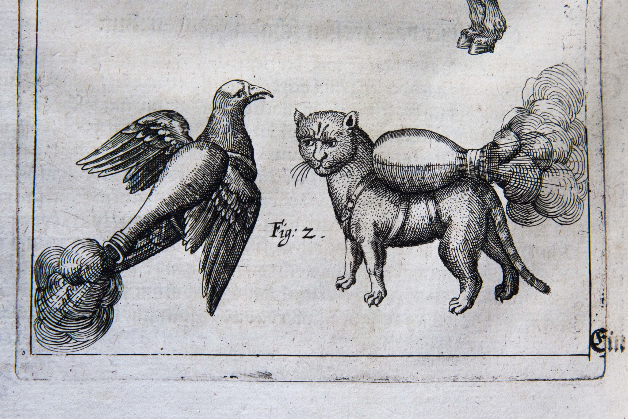 16th Century War Manual Illustrates Kamikaze Cats Strapped To Rockets ...
