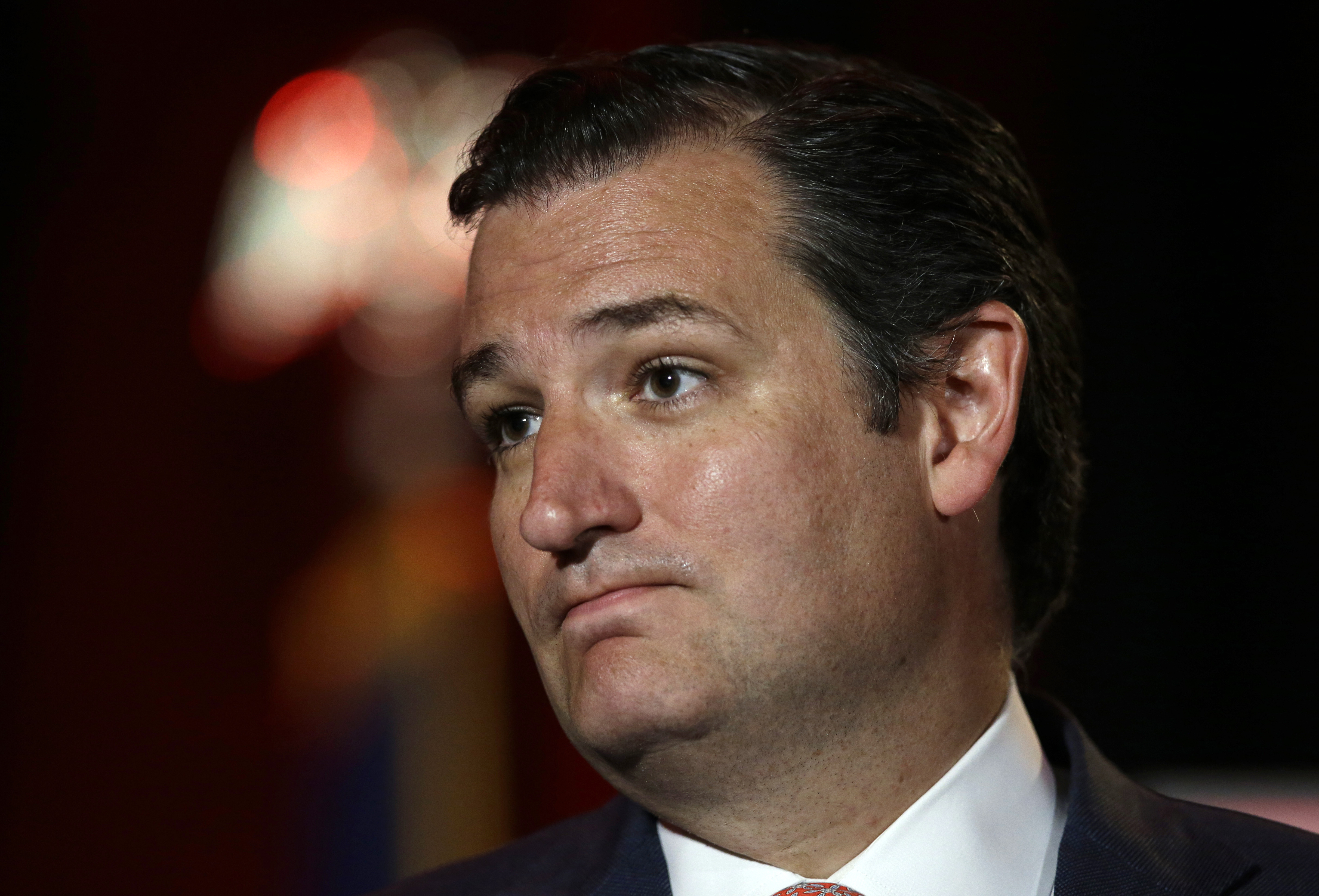 Cruz Compares ‘Obama Kitty Cat’ To ‘Russian Bear’ Putin - TPM – Talking ...