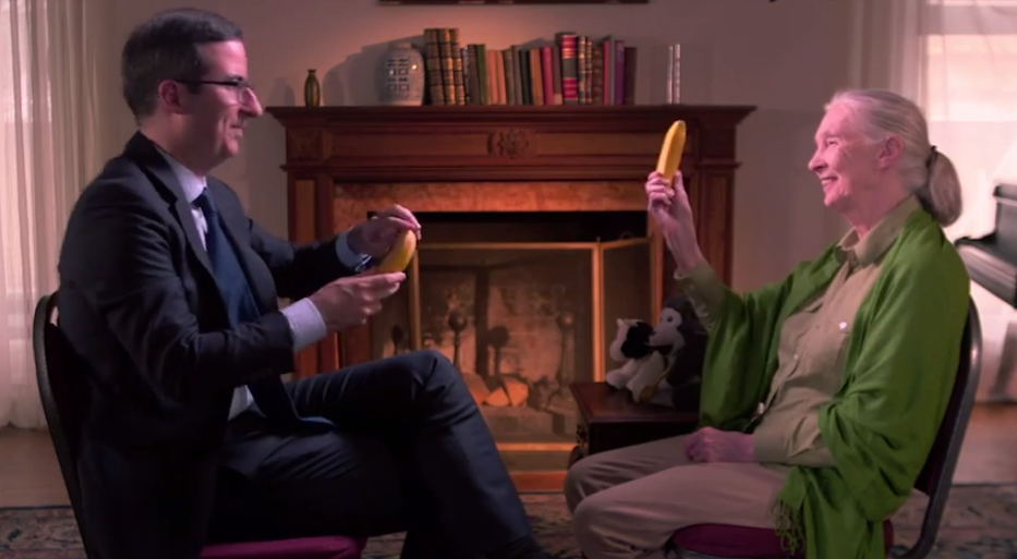 John Oliver Brainstorms Dirty Chimp Nicknames With Jane Goodall (VIDEO ...