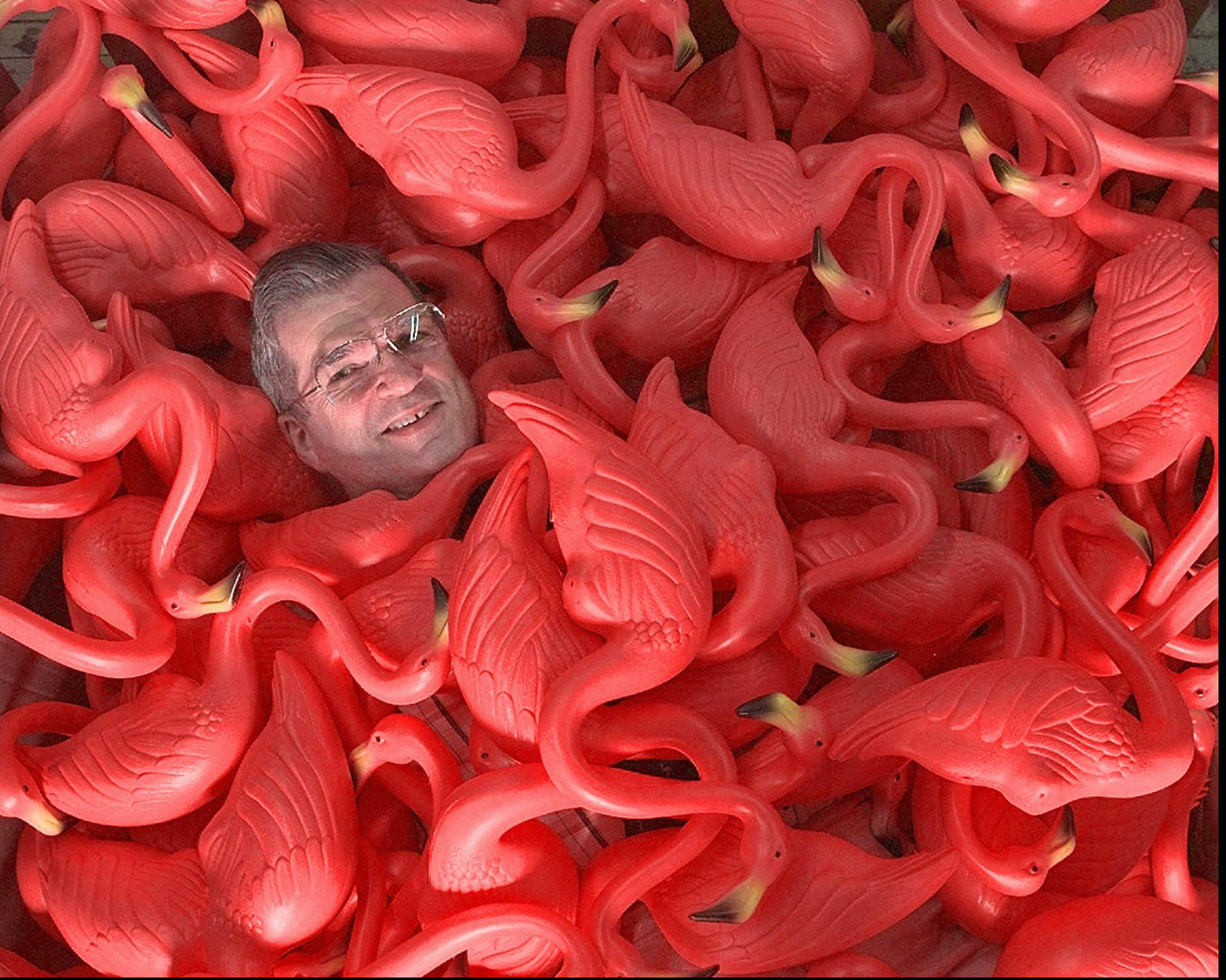 Creator Of Pink Plastic Lawn Flamingo Dies At 79 - TPM – Talking Points ...
