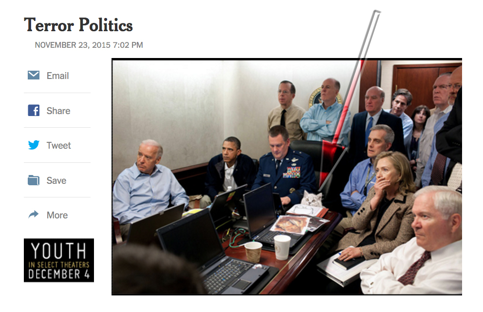 Krugman Terrorism Column Features Unexpected Cat Cameo (PHOTO) - TPM ...