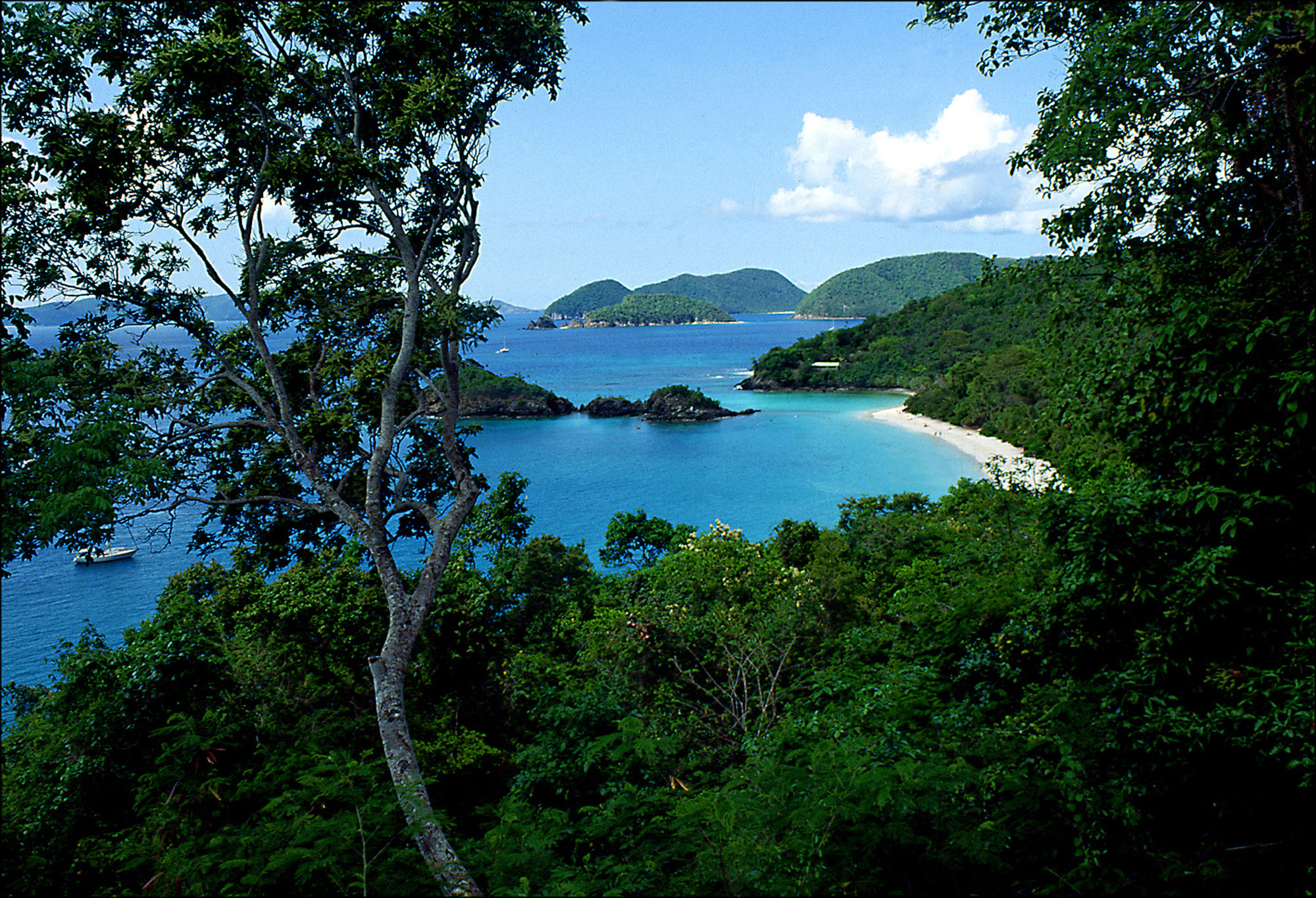 Michigan Political Operative John Yob Wins Virgin Islands’ Delegate ...