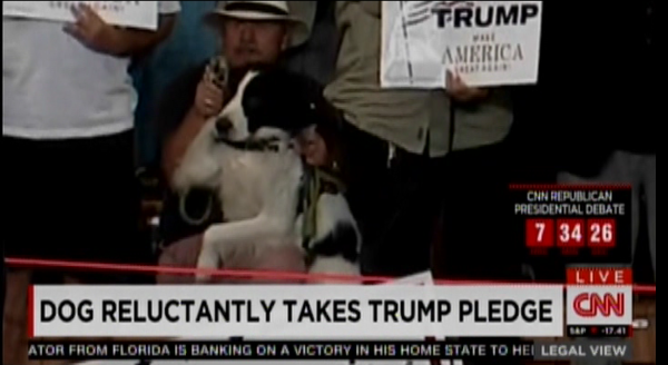 CNN: ‘Dog Reluctantly Takes Trump Pledge’ - TPM – Talking Points Memo