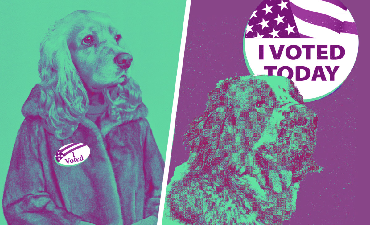 Stolen Elections, Voting Dogs And Other Fantastic Fables From The GOP ...