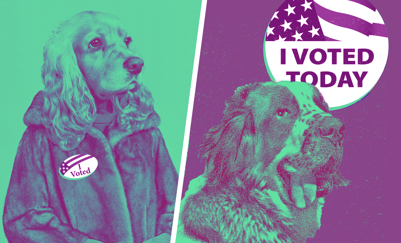 Stolen Elections, Voting Dogs And Other Fantastic Fables From The GOP ...