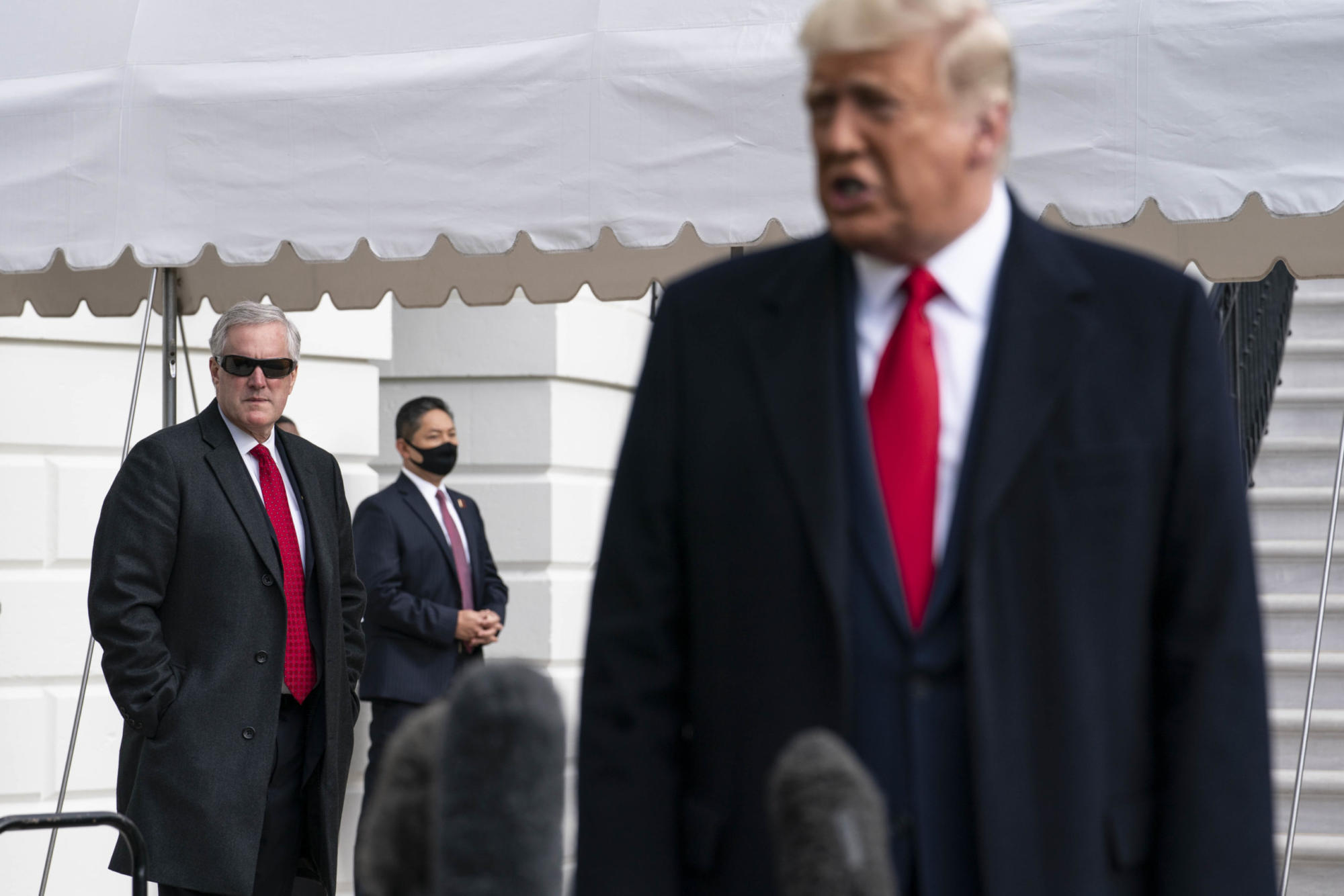 How Trump Learned to be a Predator - TPM – Talking Points Memo