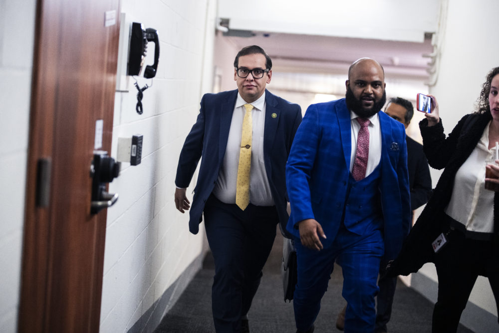 Meet Vish Burra, The Man Behind George Santos