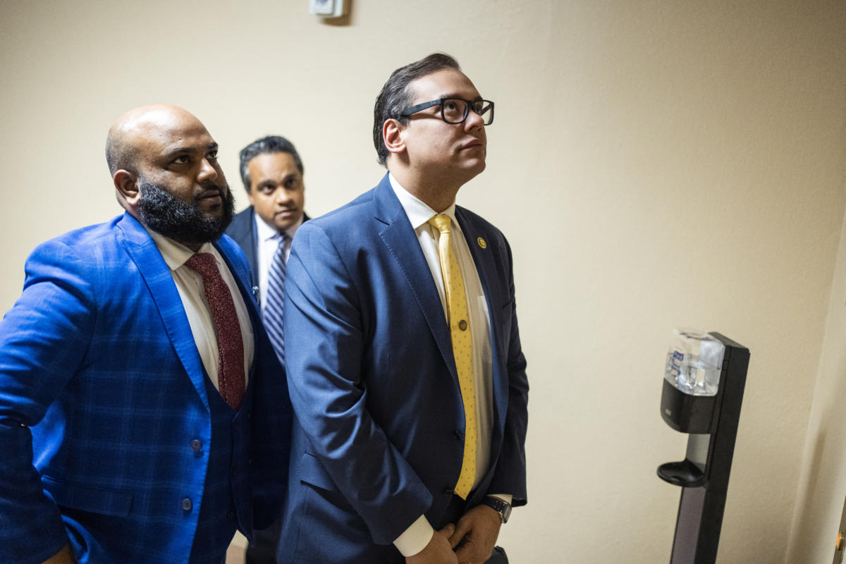 Meet Vish Burra, The Man Behind George Santos