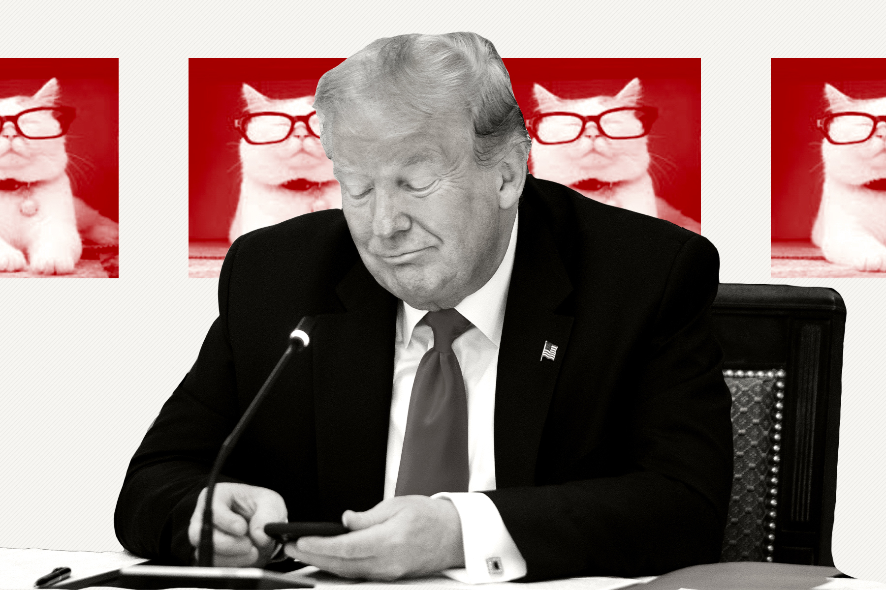 Just Before Announcing His Latest Legal Drama, Trump Turned To ‘Catturd2’