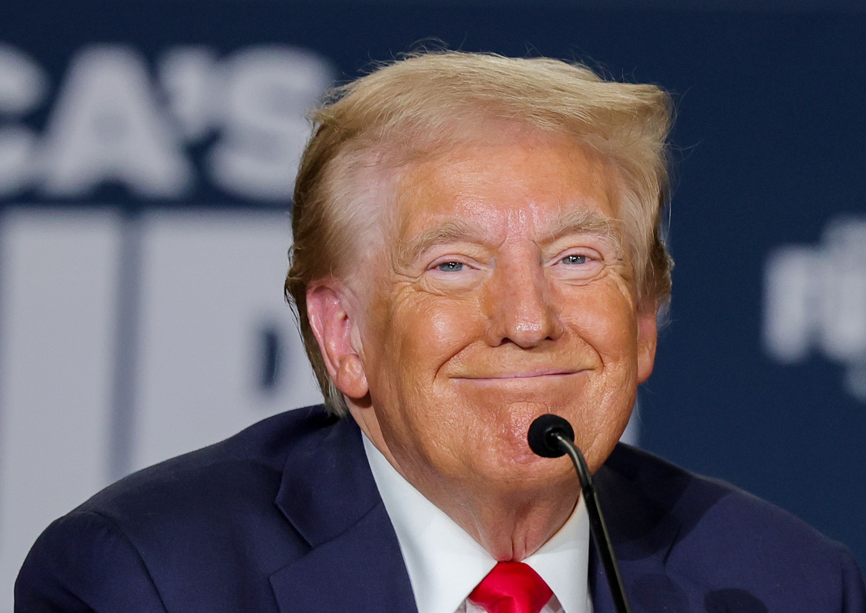 The Great Fluffening of 2024 - TPM – Talking Points Memo