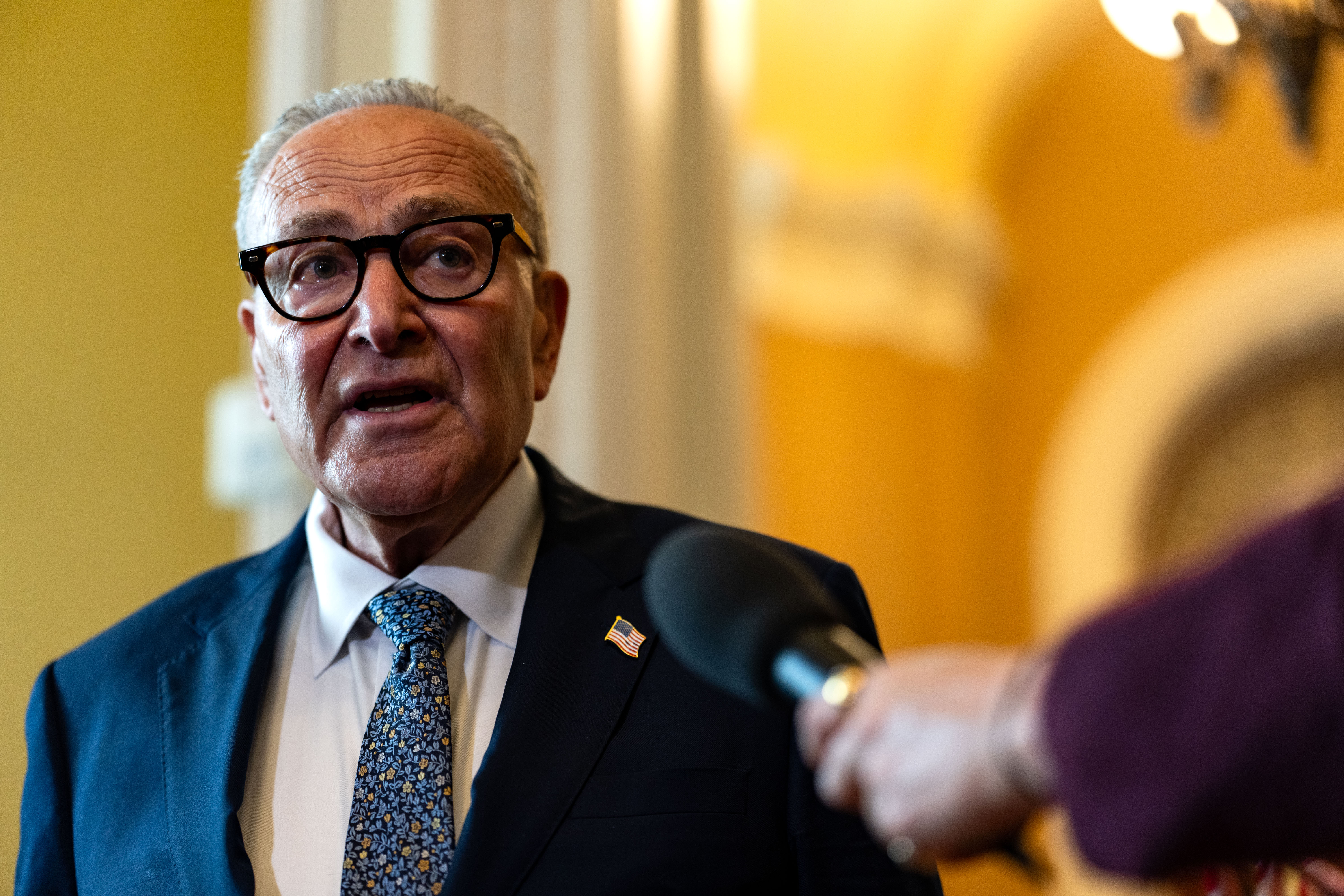 Schumer Says Dems Will Demand a Halt to White House’s Spending Freezes After All